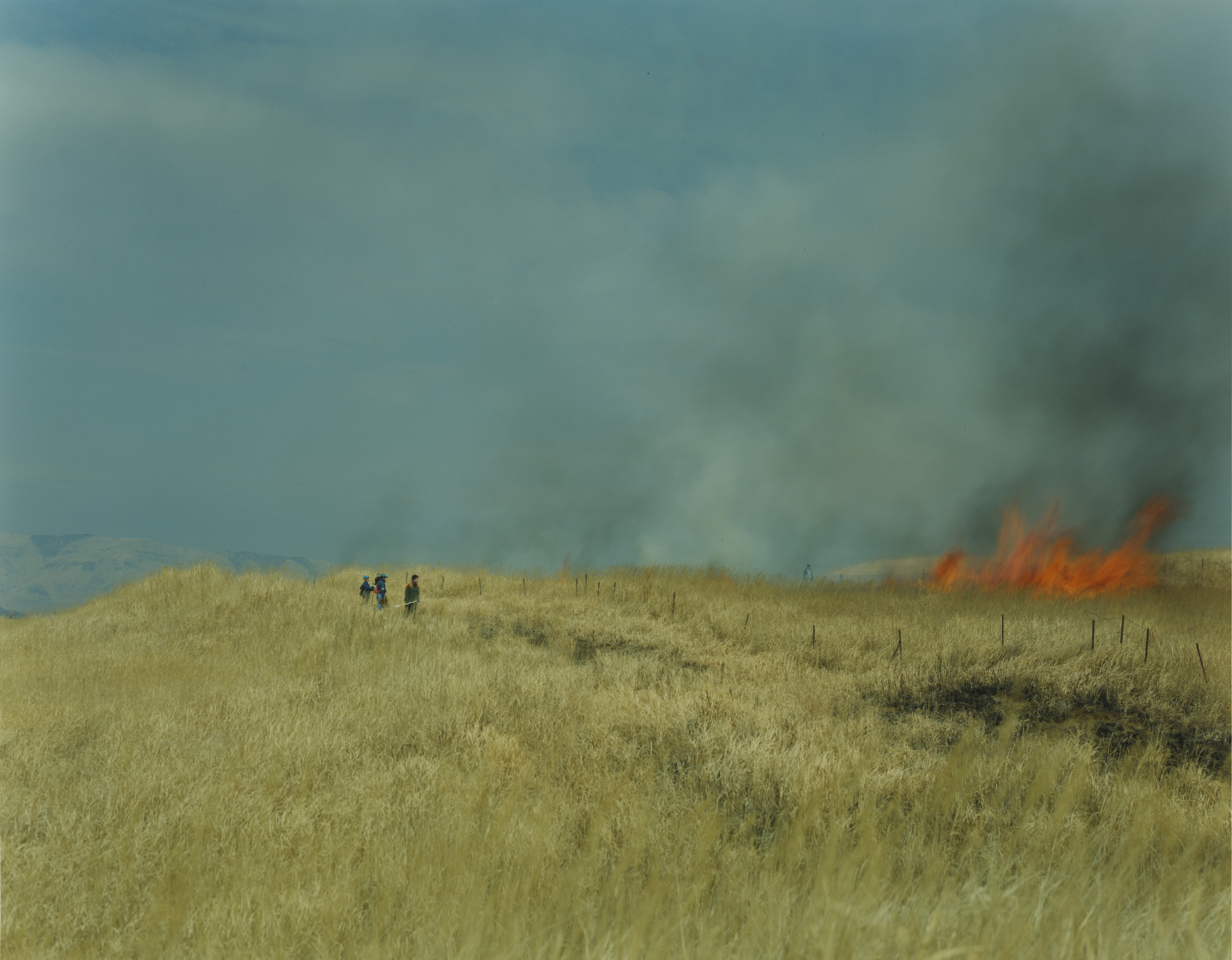 Illuminating the everyday: Rinko Kawauchi named the 2023 Outstanding Contribution to Photography ...